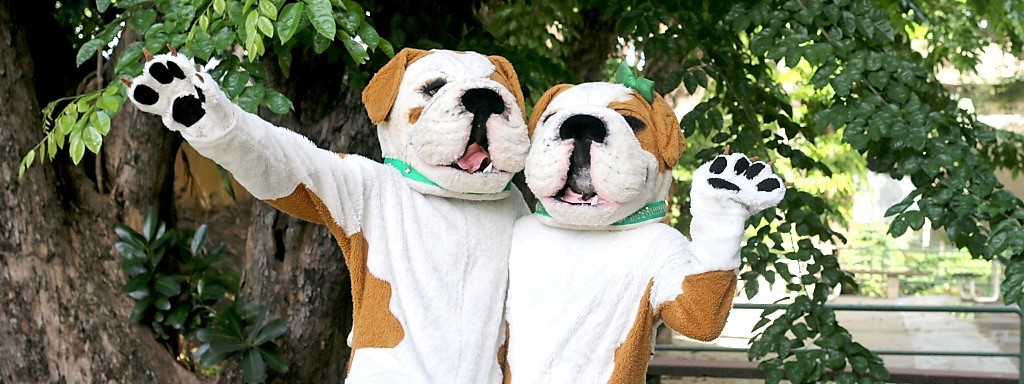 Requisitos de Admisión – Oficina Admisiones del RUM