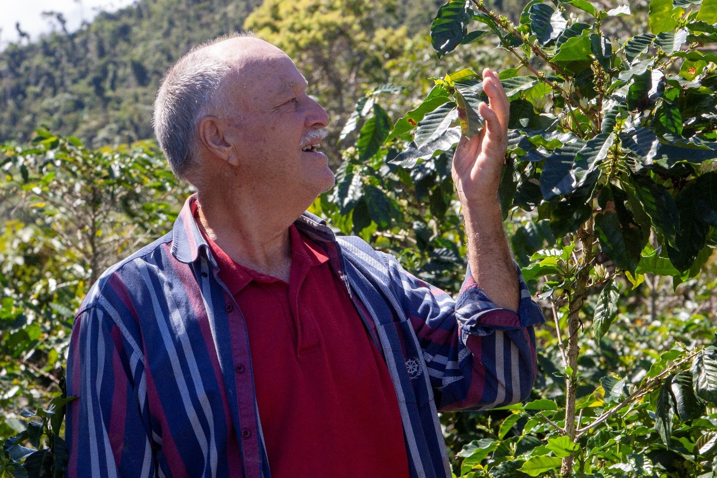 Mi María Project – ARCI