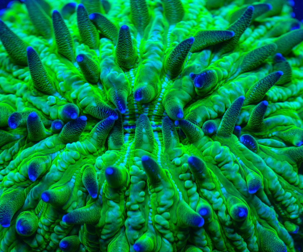 Bienvenidos - Departamento de Biología