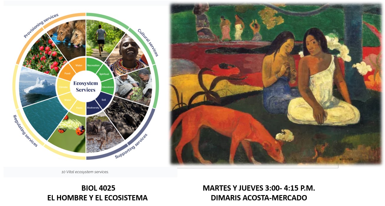 Bienvenidos - Departamento de Biología