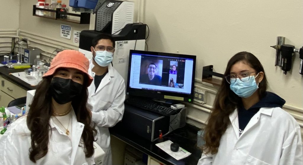 About – Biomaterials and Biomacromolecules Research & Technologies Lab ...