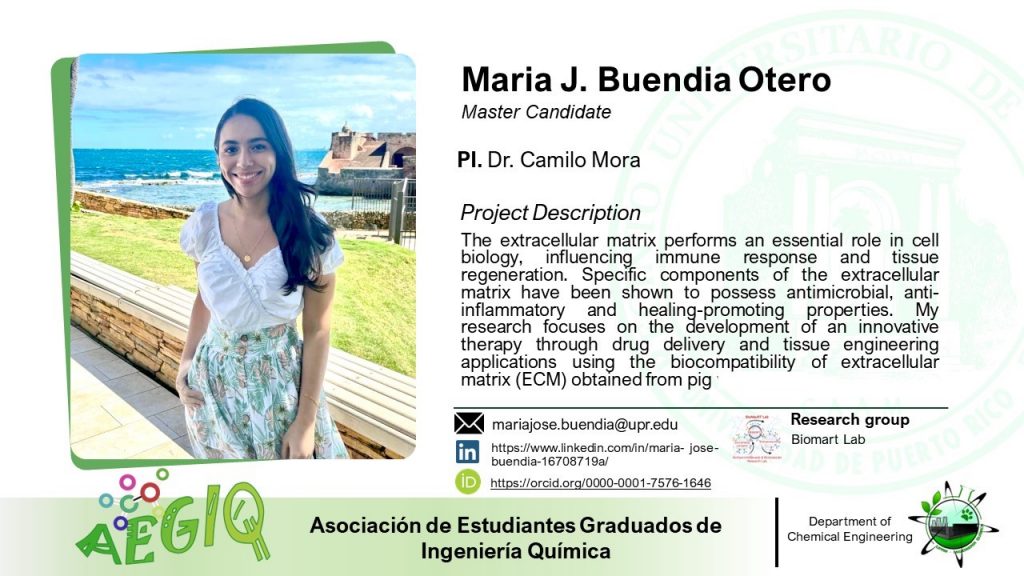 Meet our team – Biomaterials and Biomacromolecules Research ...