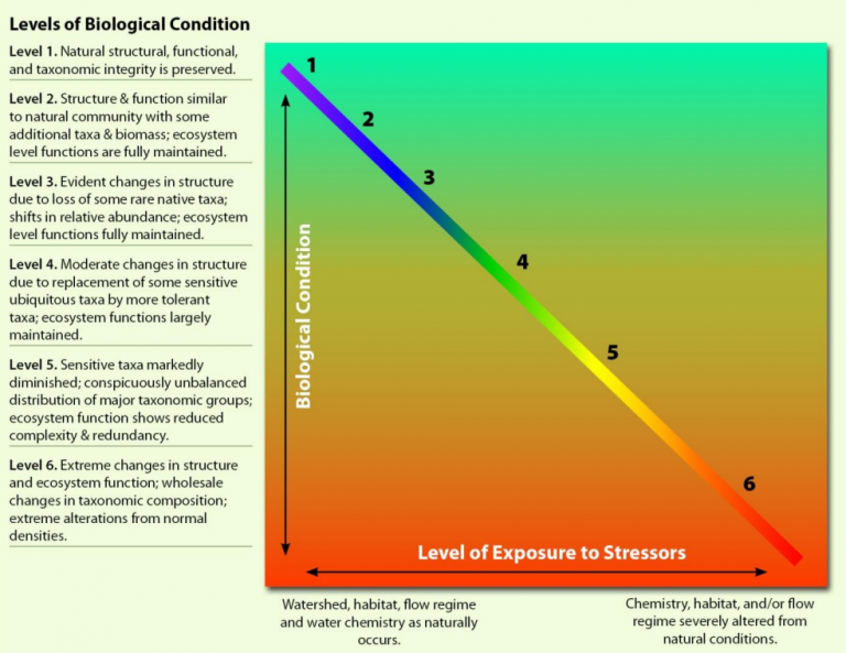 Development and implementation of a Biological Condition Gradient (BCG ...