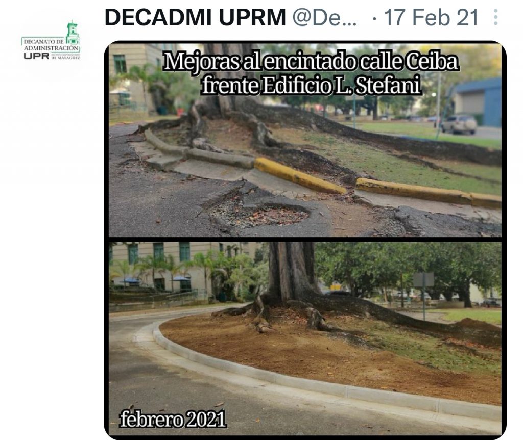 Mejoras al encintado de la calle Ceiba frente al Edificio Luis A ...