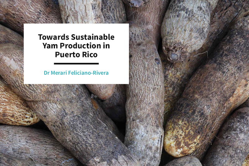 Dr Merari Feliciano-Rivera – Towards Sustainable Yam Production in ...