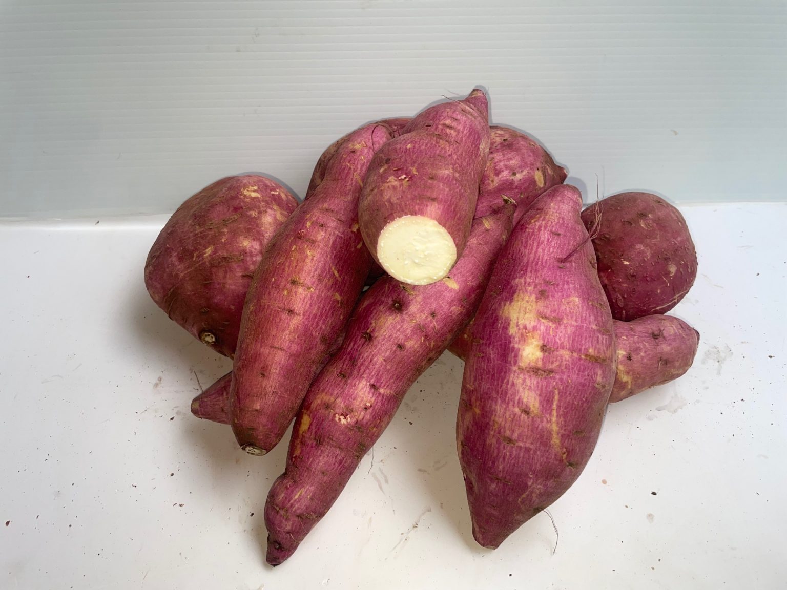 Batata – EEA Lajas – SEMILLAS SELECTAS