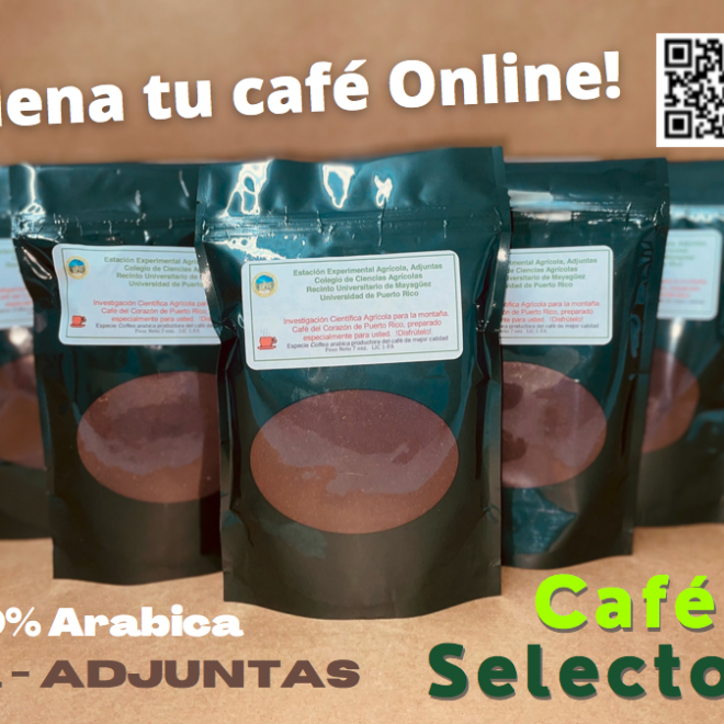 SEMILLAS SELECTAS – Tienda de Ventas de Semillas & Productos de la E.E.A.