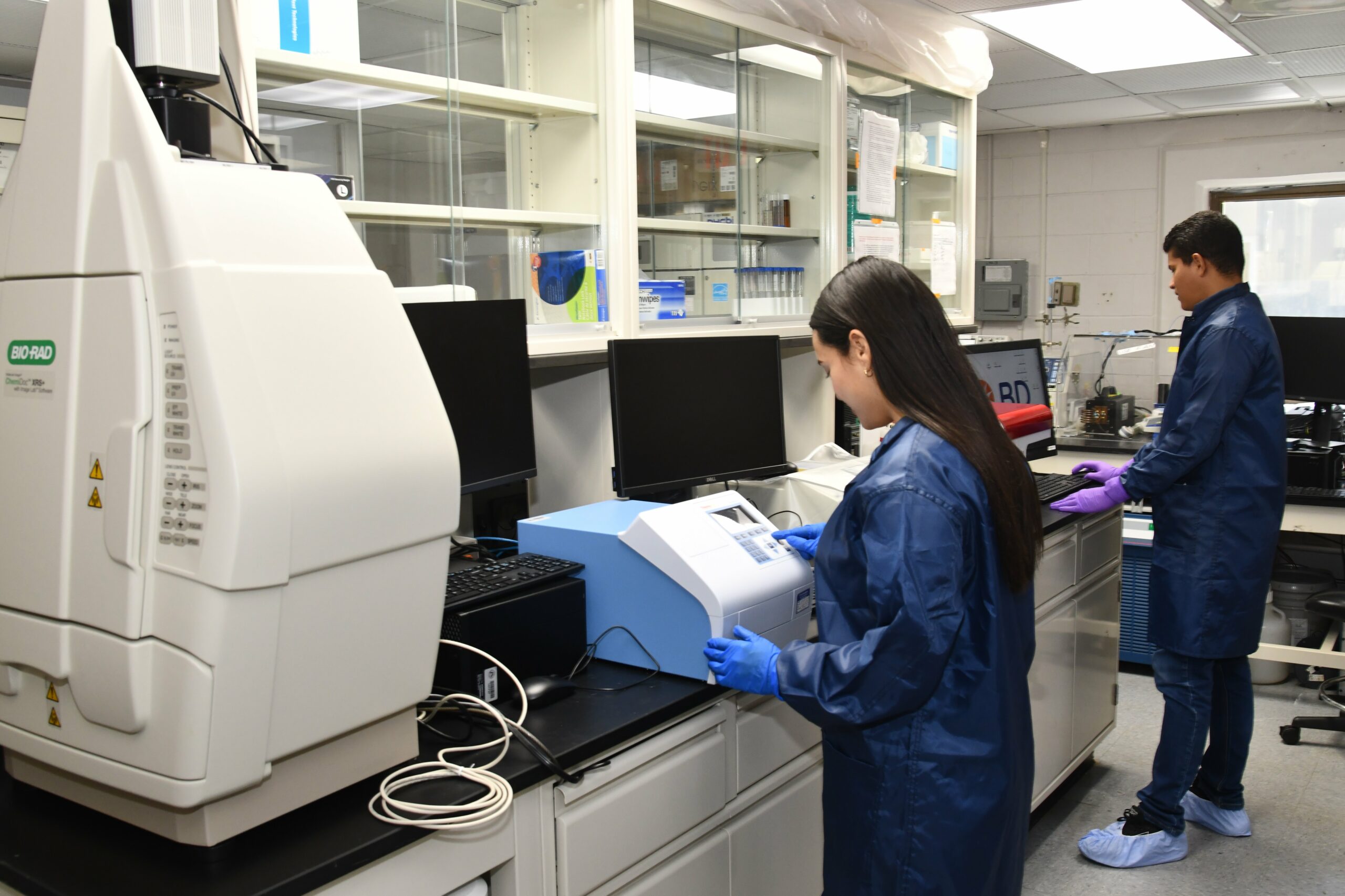 Office of Research Innovation and Graduate Studies - College of ...