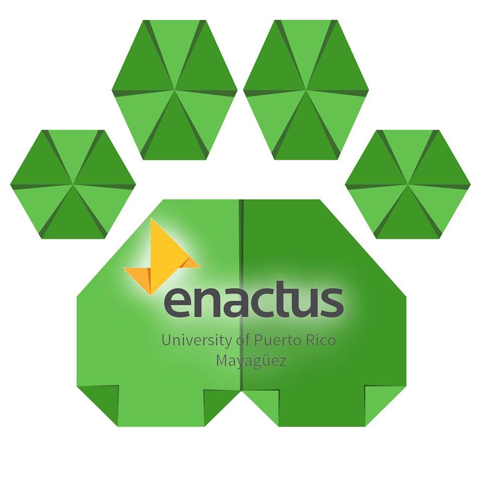 Enactus UPRM – E-Ship Network