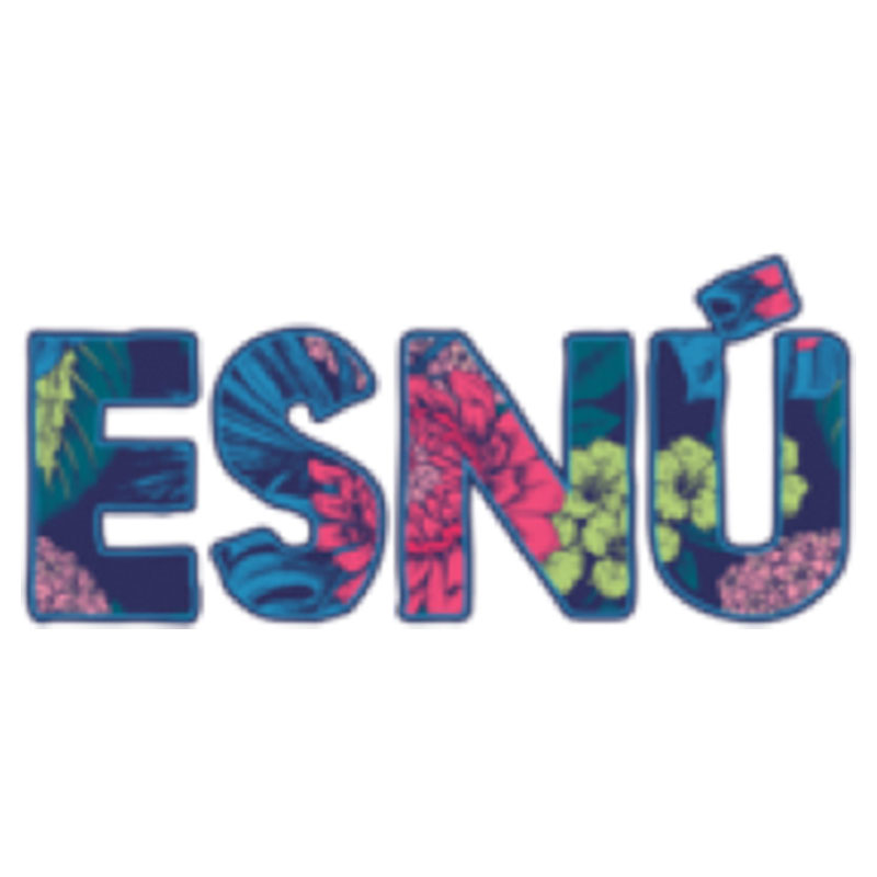 19 – E-Ship Network