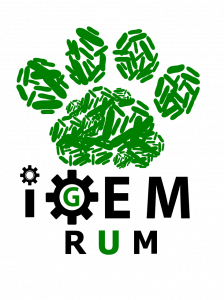 IGEM RUM – Feria de Investigaciones