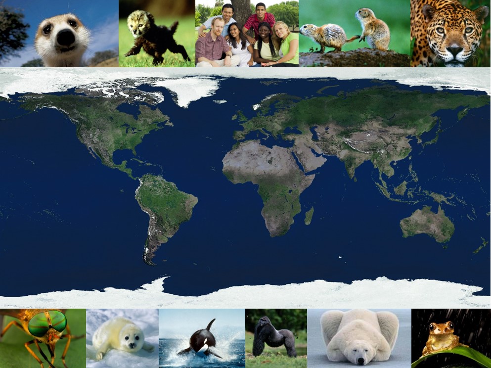 Courses – GERS Lab