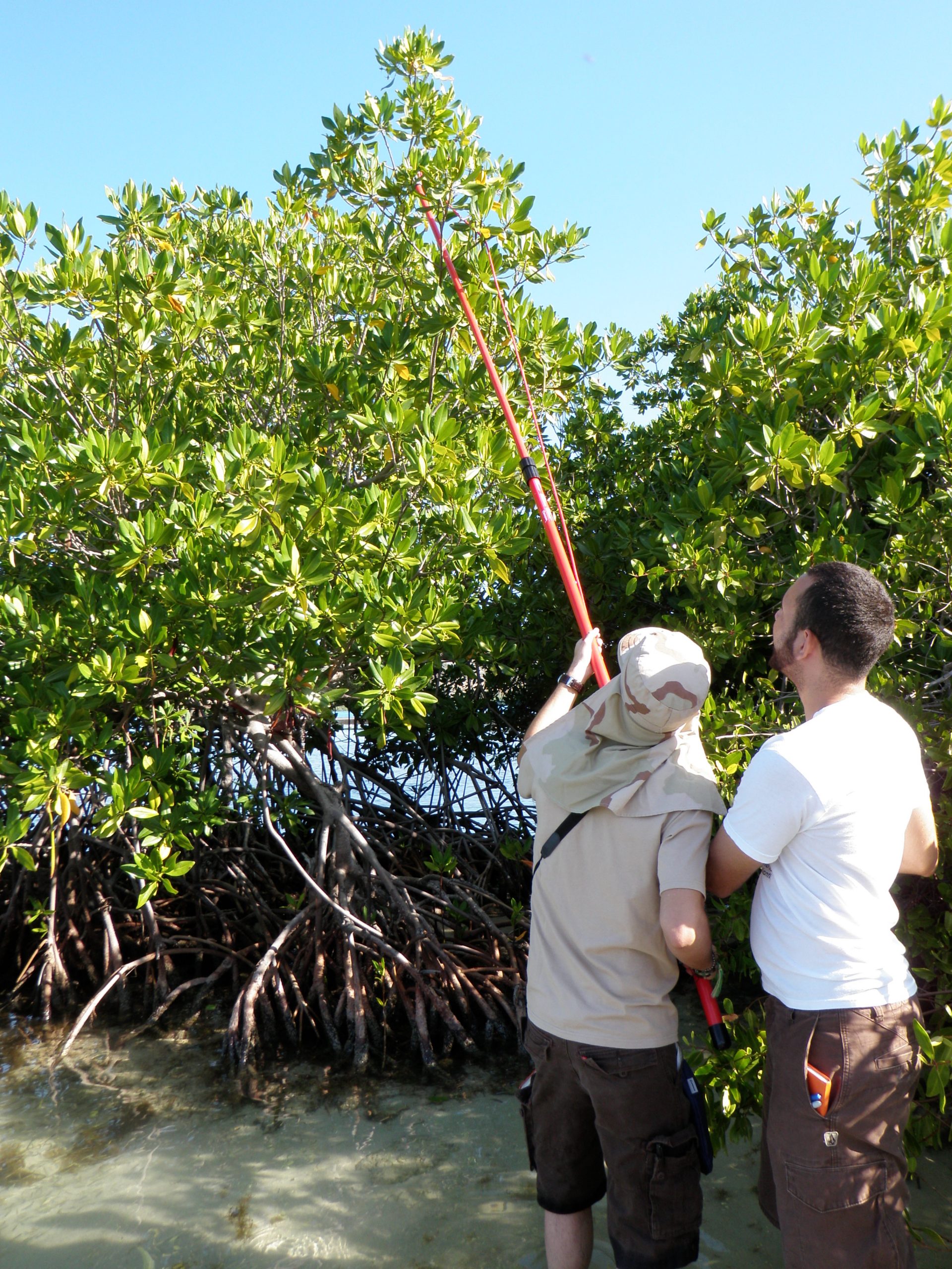 Research – GERS Lab