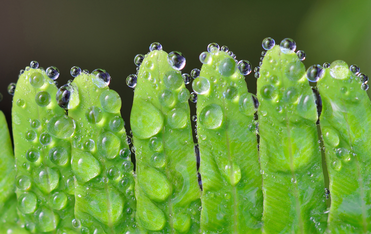 Recursos para Laboratorios de BIOL 3417 – Just another UPR MAYAGUEZ ...