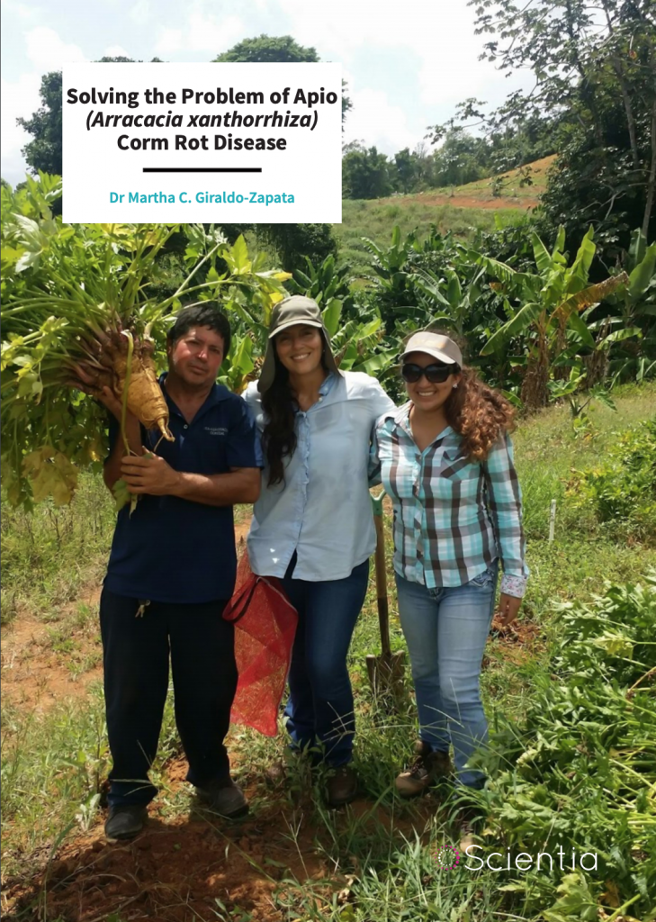 Solving the Problem of Apio (Arracacia xanthorrhiza) Corm Rot Disease ...