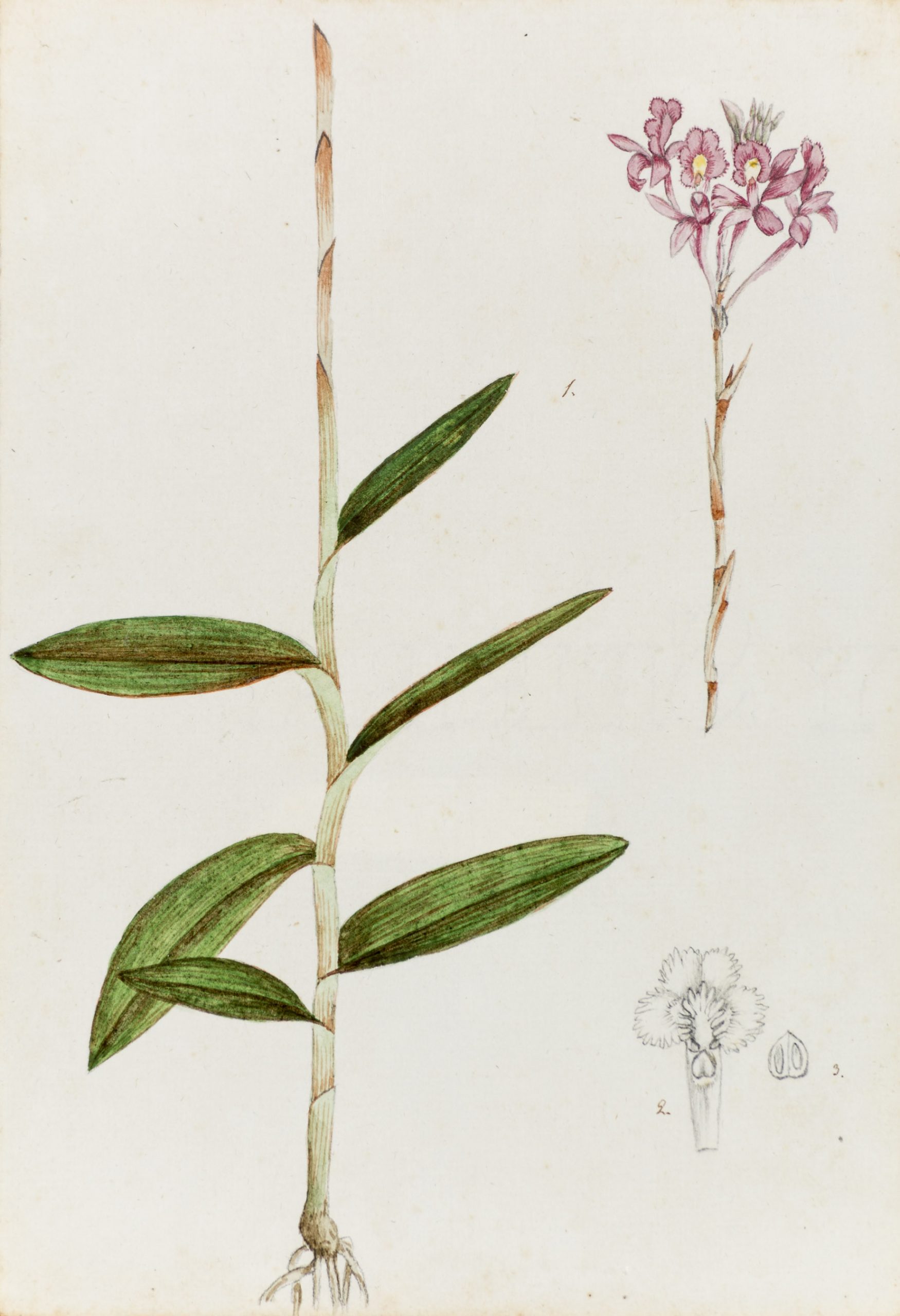 Stahl – Museo de Arte (MUSA) – UPRM