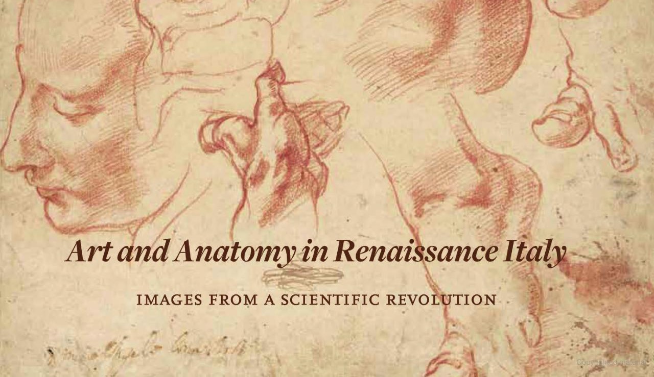 Art and Anatomy in Renaissance Italy – Nuevos Horizontes