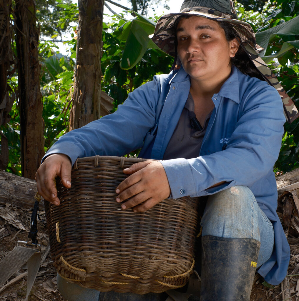 Photography: Women Coffee Harvesters – Oral History Lab