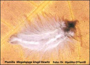 La plumilla - Servicio de Extensión Agrícola