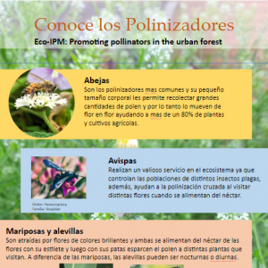 Publicaciones - Servicio de Extensión Agrícola